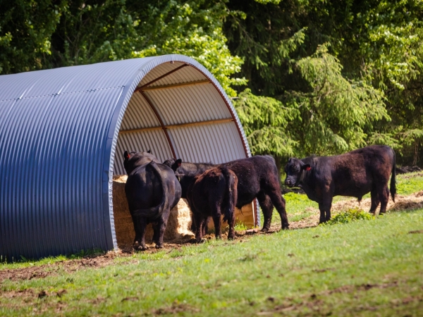 Hytter | Flytbare hytter | Future Rundbuehaller